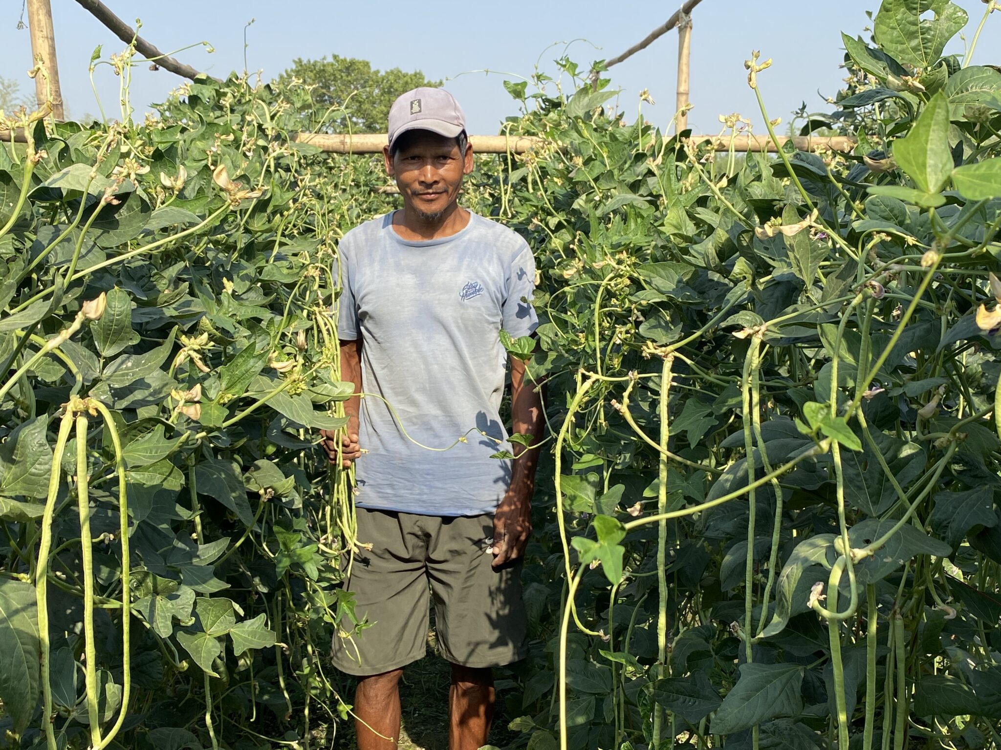 Improved Livelihood – unitedvisionnepal