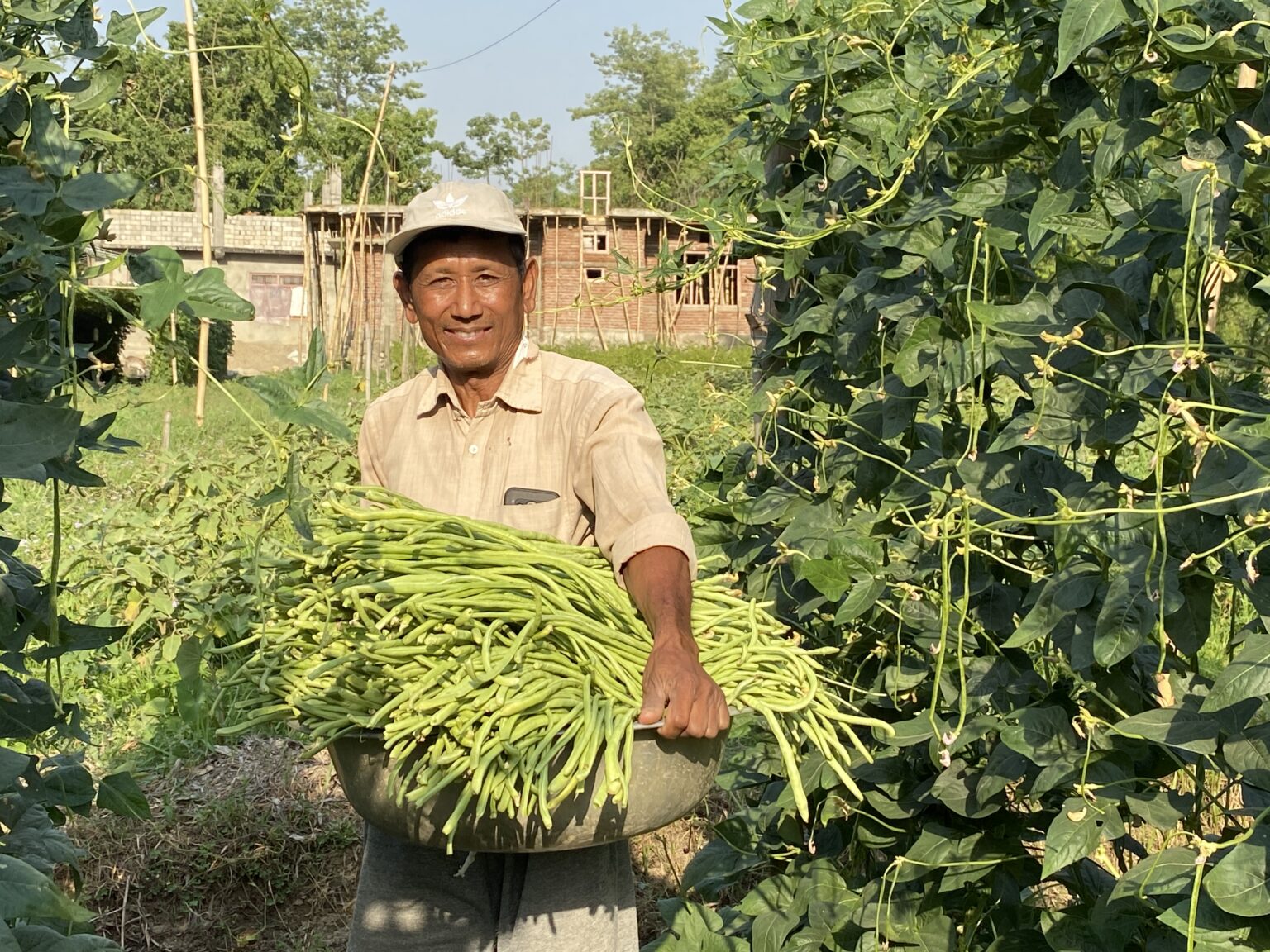 Improved Livelihood – unitedvisionnepal